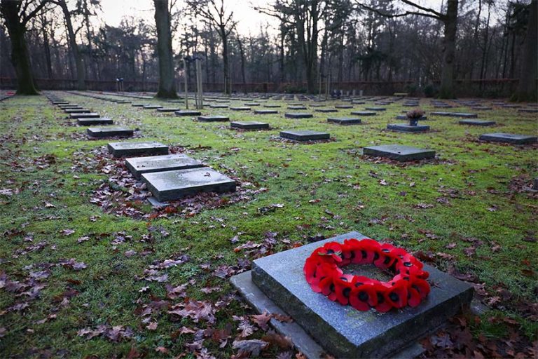 Day Trip to Ypres, War Sites, and World War I Battlefields in Belgium