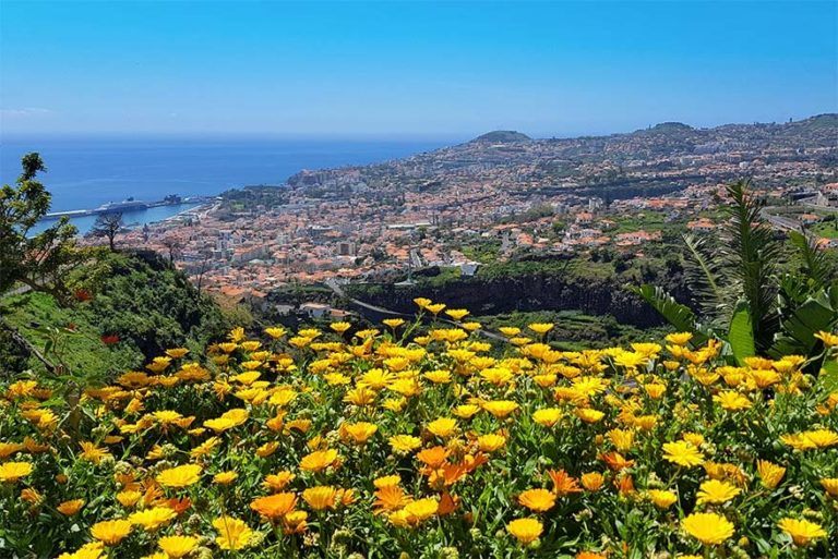 21 Amazing Things To Do in Funchal, Madeira (Ultimate Guide)