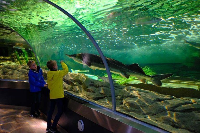 27 Top Things to Do in Lithuania (+Insider Tips & Map of Best Places)