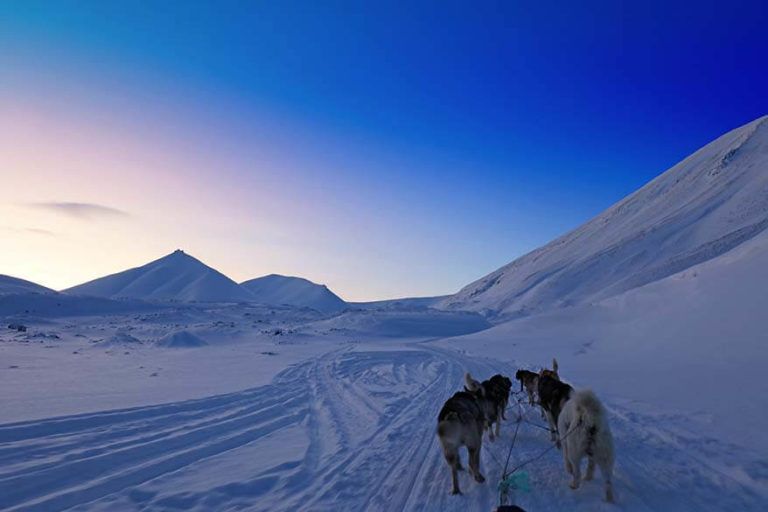 Svalbard in Winter: Things to Do & Essential Travel Tips