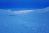 How to Visit Svalbard: Travel Guide, Essential Info for First Trip ...