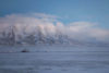 Svalbard in Winter: Things to Do & Essential Travel Tips