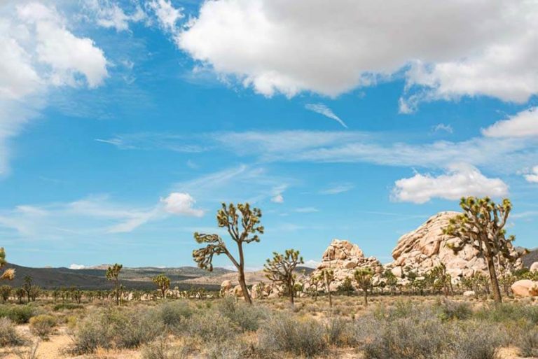 16 Amazing USA National Parks to Visit in October (+Info & Seasonal Tips)