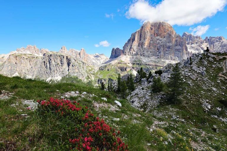 Cinque Torri, Dolomites: Easy Hike with Best Views (+Map & Info)
