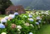 16 Amazing Things to Do in São Miguel, The Azores (+Map)