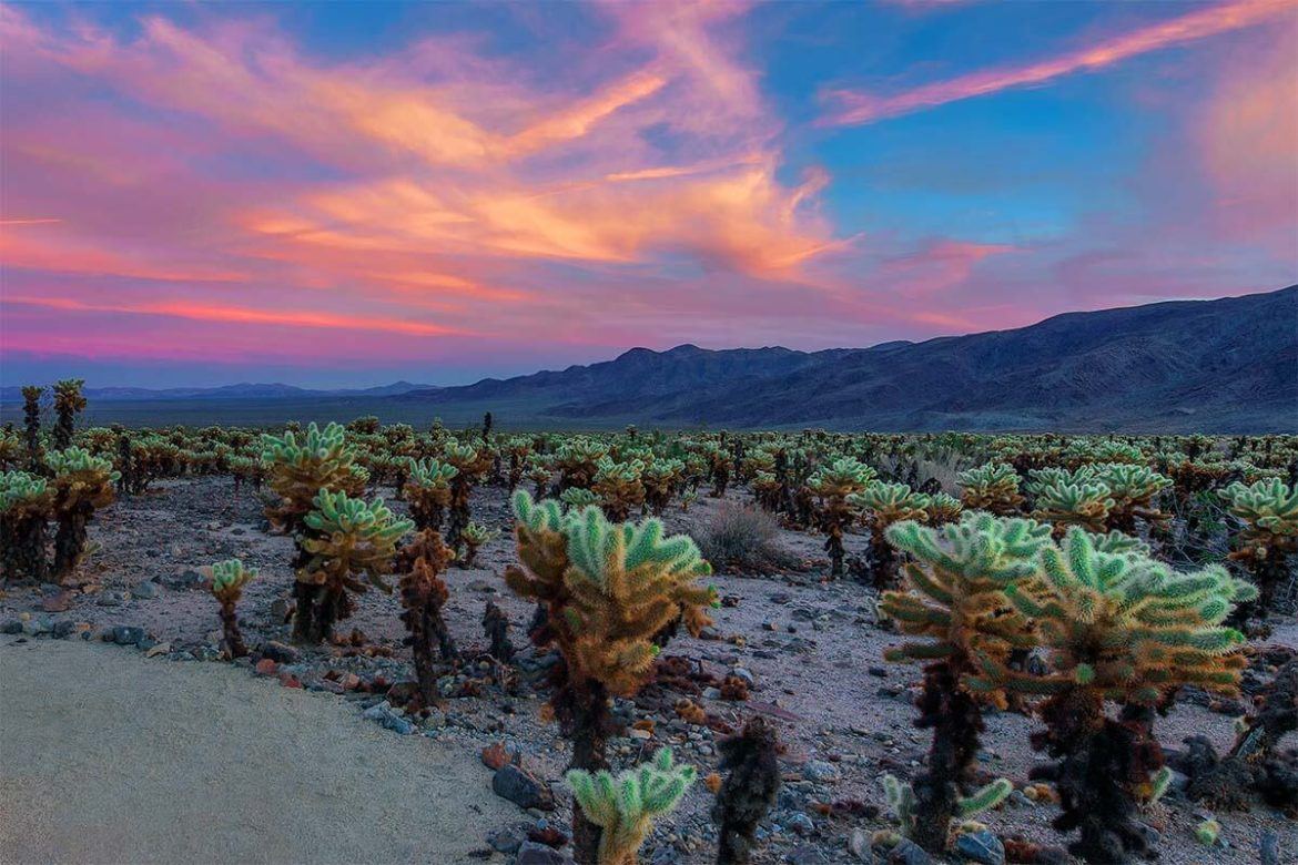 9 Great USA National Parks To Visit In December 2023 Info Tips 9-great-usa-national-parks-to-visit-in-december-2023-info-tips