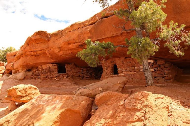 11 Absolute Best Things to Do in Canyonlands National Park (Island in ...