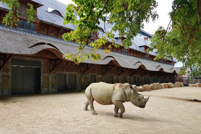 15 Best Things to Do in Antwerp with Kids (+Insider Tips)