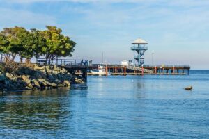 Olympic National Park Itinerary (1-3 Days) & Tips for Planning Your Visit