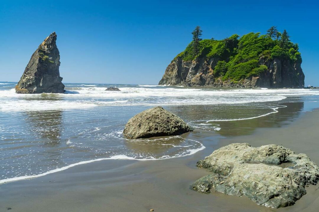 Olympic National Park Itinerary (1-3 Days) & Tips for Planning Your Visit