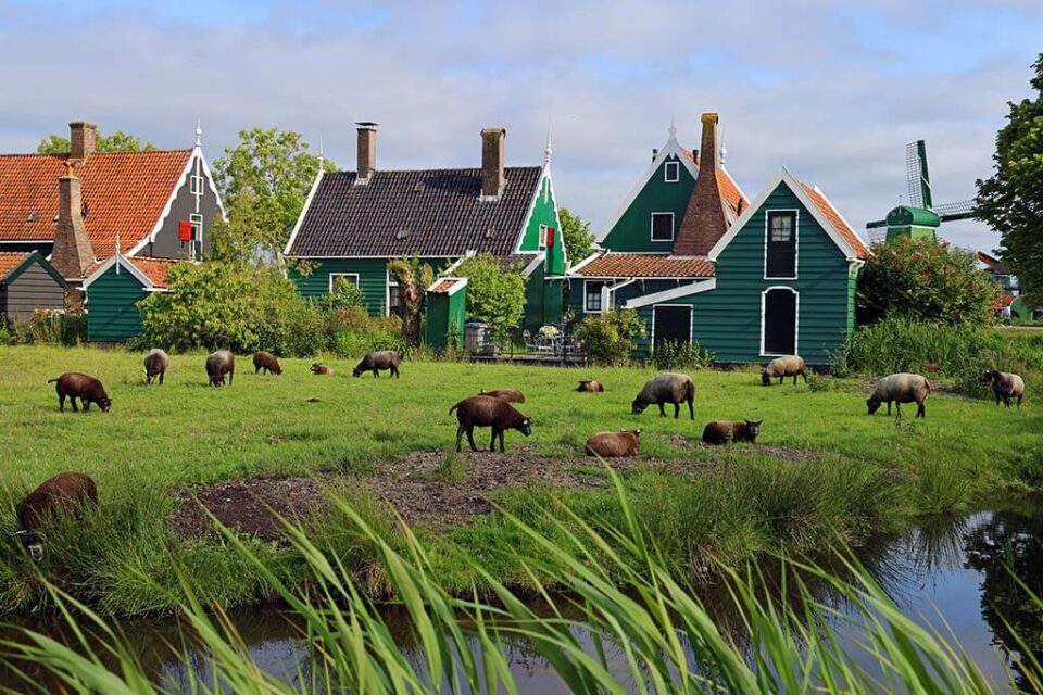 Dutch Countryside near Amsterdam: 7 Top Places To Visit (+Map, Tours ...