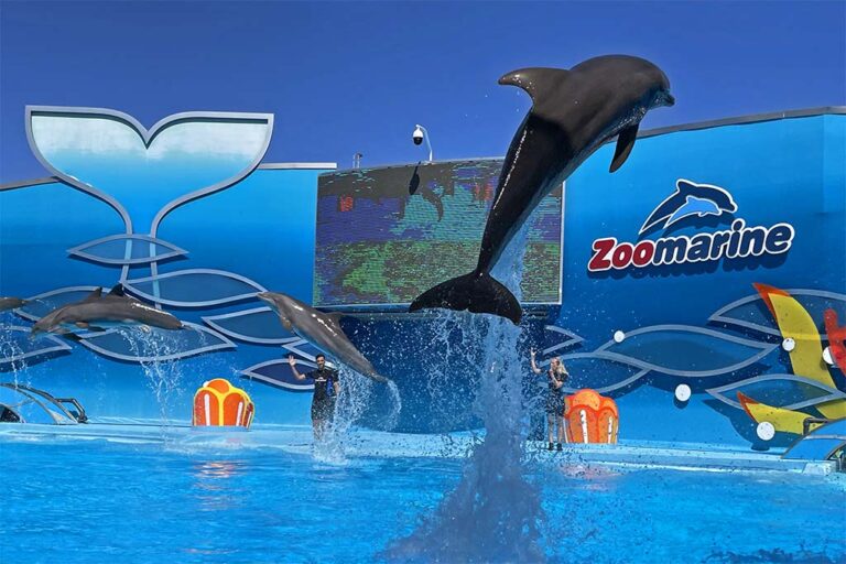 Zoomarine, Algarve: 11 Tips & Tricks for Your First Visit