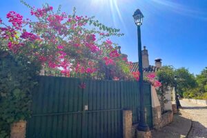 Alte Village in Algarve, Portugal: What to See & Do (+Map & Tips)