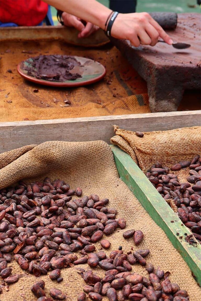 Costa Rica Bucket List: 17 Best Things to Do & Top Places to Visit