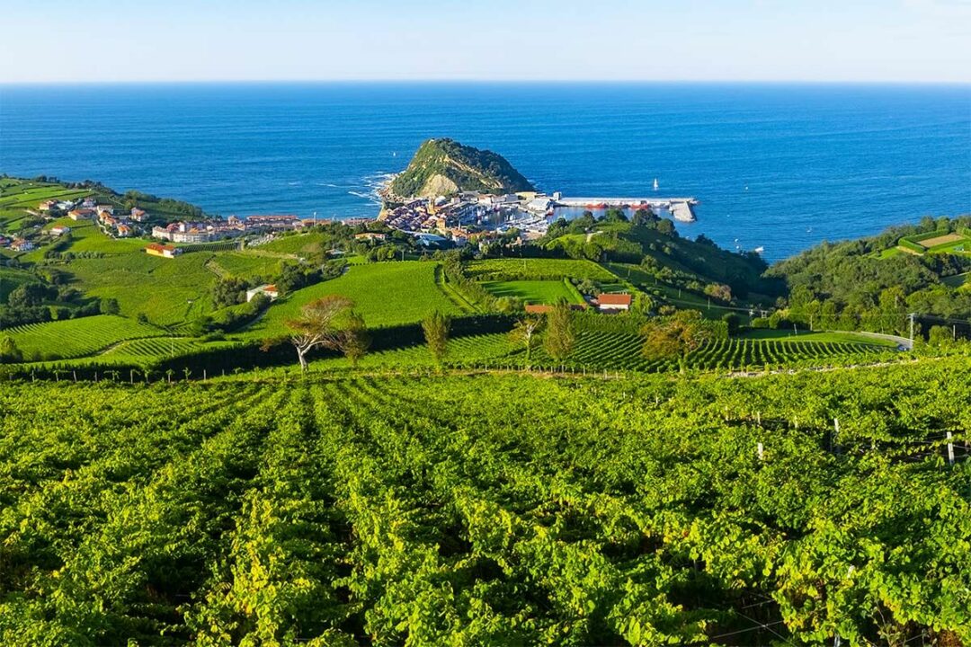 Best Things to See & Do in Getaria, Spain (& Why Visit!)