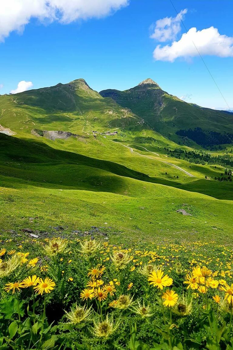 Swiss Half Fare Card 2026: What’s Included, Price & When It’s Worth It