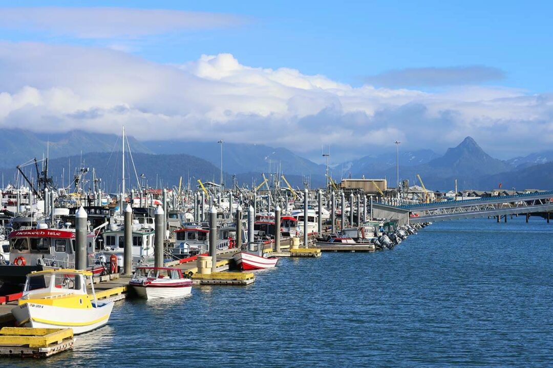13 Epic Things to Do in Homer, Alaska (+Insider Tips)