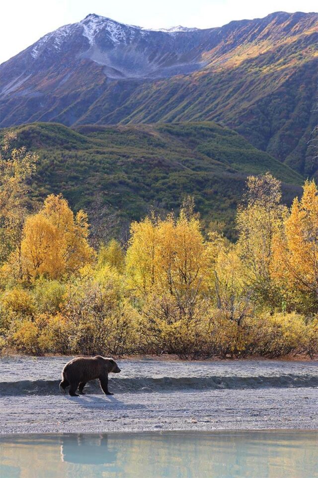 Alaska in September: Weather, What to Expect & Seasonal Tips