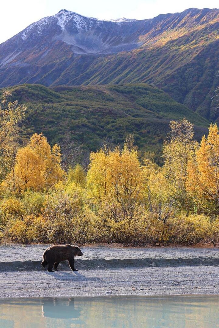 Alaska in September: Weather, What to Expect & Seasonal Tips
