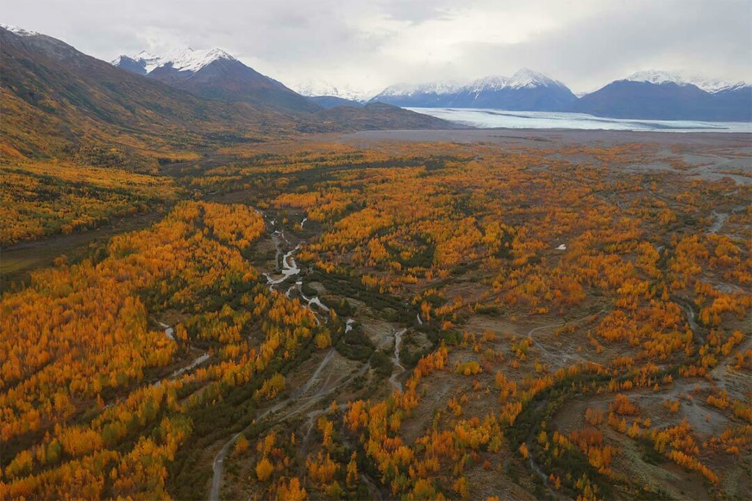 Knik Glacier Helicopter Tour: What to Expect, Photos & Tips