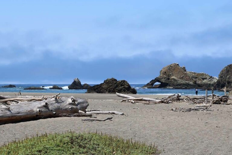 Northern California Road Trip Itinerary (2-Week Loop from San Francisco)